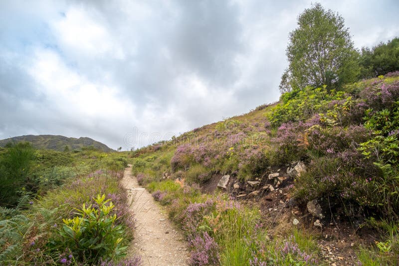 Scenic Landscape View of Scottish Highland Stock Photo - Image of ...