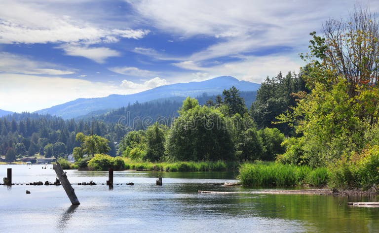 Whatcom Lake in Washington State Stock Image - Image of evergreen ...