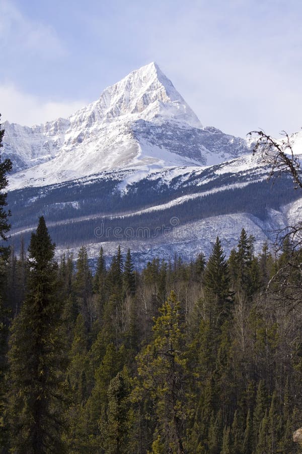 Scenic Landscapes in Jasper National Park, Alberta, Canada Stock Image ...
