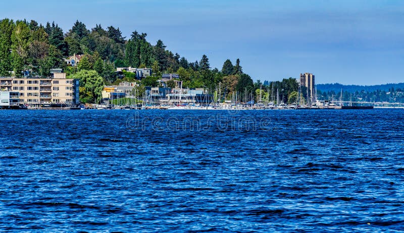 Scenic Leschi Marina stock photo. Image of buildings - 256573470
