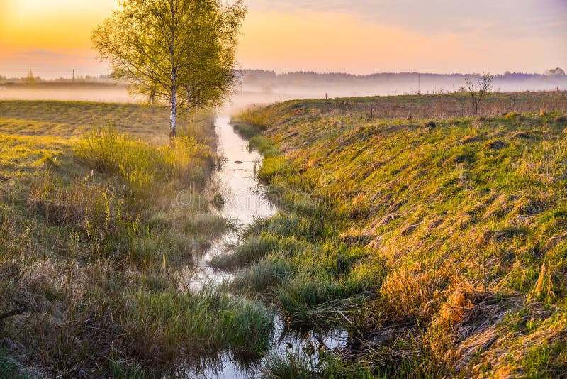 Scenic Lithuanian Landscape with Misty Sunrise Stock Photo - Image of ...