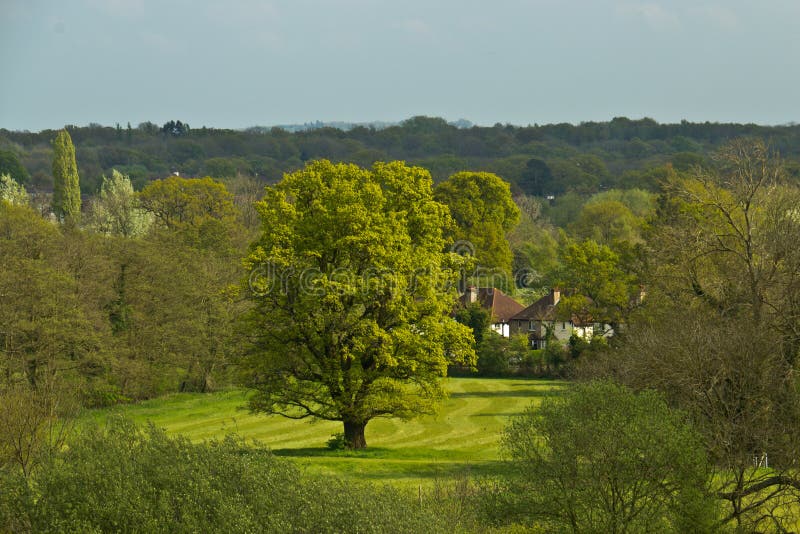 Scenic Lush, Rural Landscape in Surrey, England Stock Photo - Image of ...
