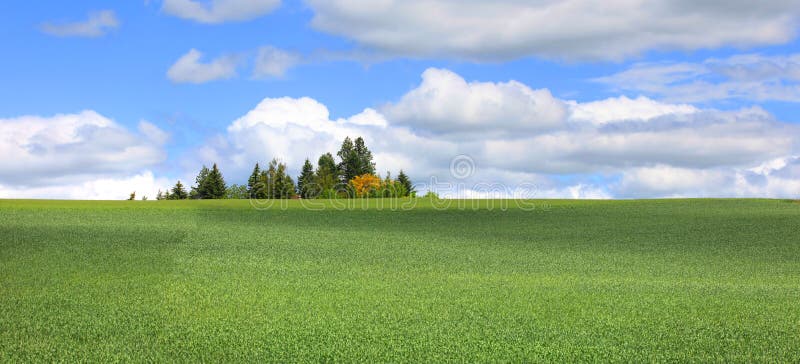 Scenic meadow stock photo. Image of prairie, country - 52053478