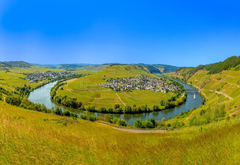 Scenic Mosel River Loop at Trittenheim, with Green Vineyards Stock ...