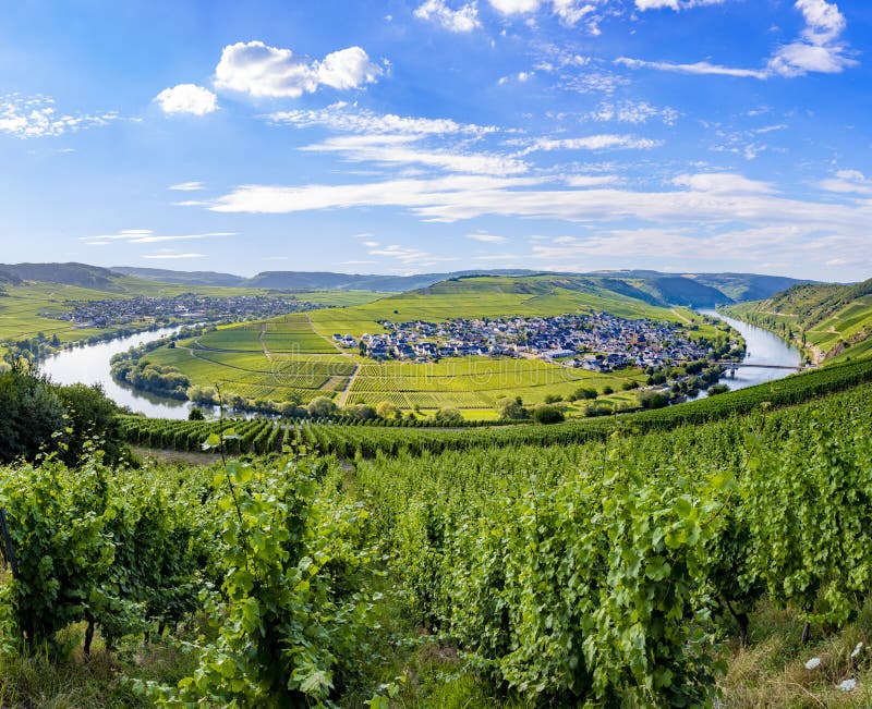 Moselle River Loop in Trittenheim, Germany. Stock Photo - Image of loop ...