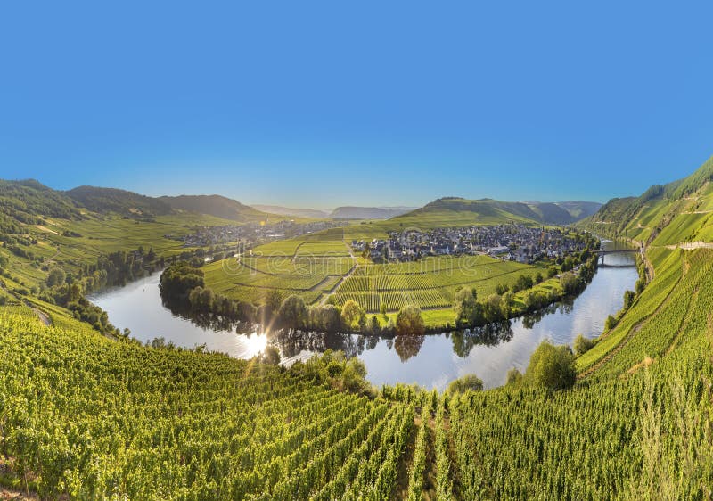 Scenic Moselle River Loop at Leiwen, Trittenheim Stock Image - Image of ...