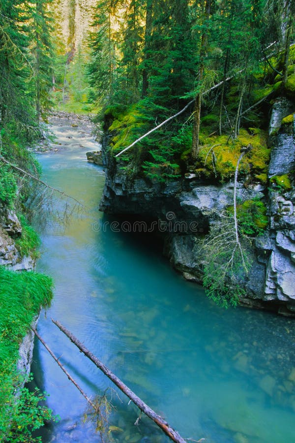 Scenic Mountain Stream stock image. Image of river, beautiful - 18444789