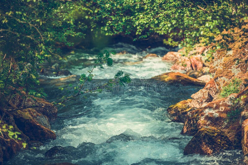Scenic Mountain Stream in Shallow Depth of Field Stock Image - Image of ...
