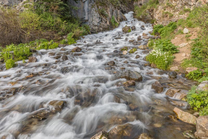Fast Flowing Mountain Stream Stock Photo - Image of flowing, water ...