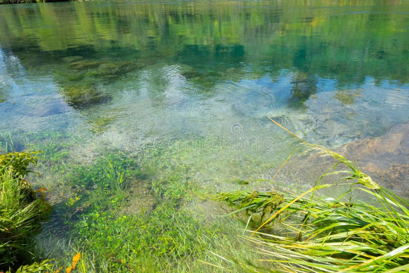 Scenic River stock photo. Image of freshness, blurred - 29130710