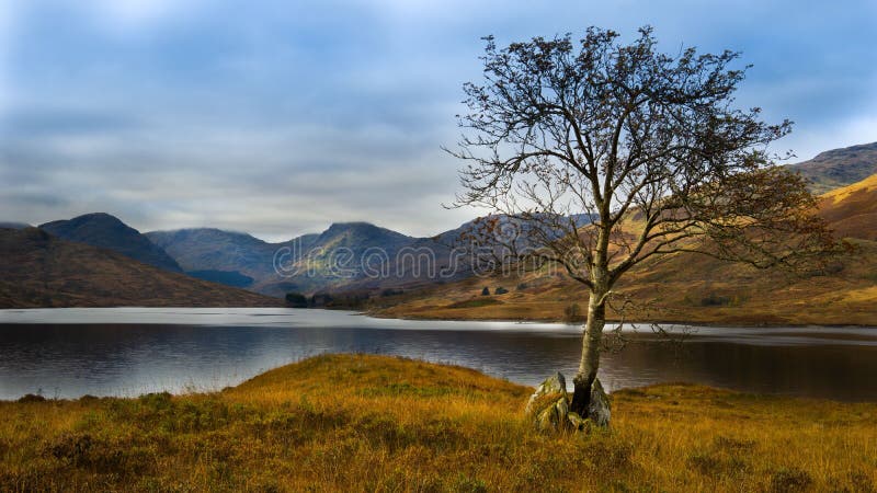 Scenic Natural View of a Field on the Background of Mountains Stock ...