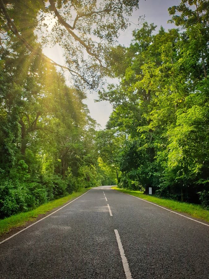 Scenic Nature Landscape of Path Stock Photo - Image of colorful, export ...