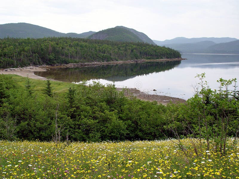 Scenic Newfoundland stock image. Image of water, reflection - 82645929