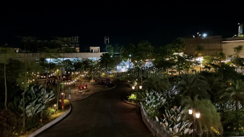Scenic Night Landscape with Lights and Lush Greenery Stock Video ...