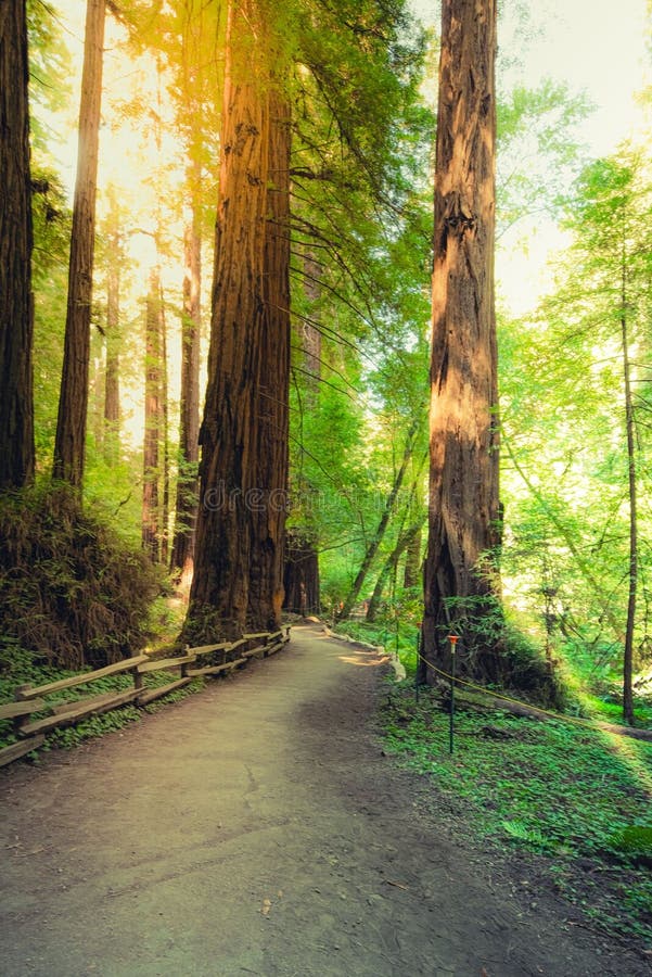 Scenic Outdoor View of a Pristine Lake and Majestic Mountains in the ...