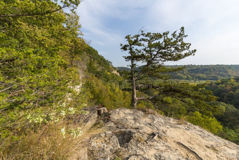 Scenic Overlook in Early Autumn Stock Photo - Image of whitewater ...