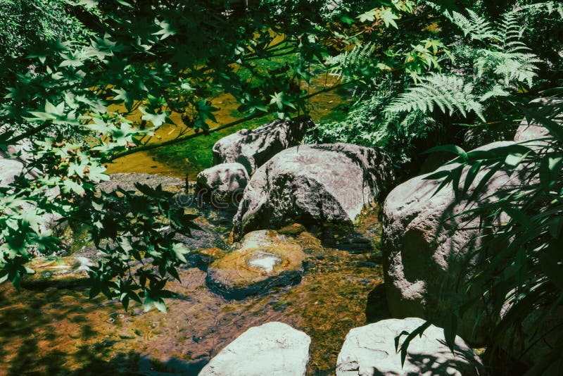 Scenic Overshot of a Pond and Waterfall in the Forest Stock Image ...