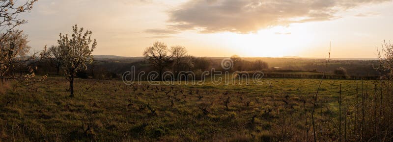 Scenic Panorama Country Side at Sunset Stock Image - Image of summer ...