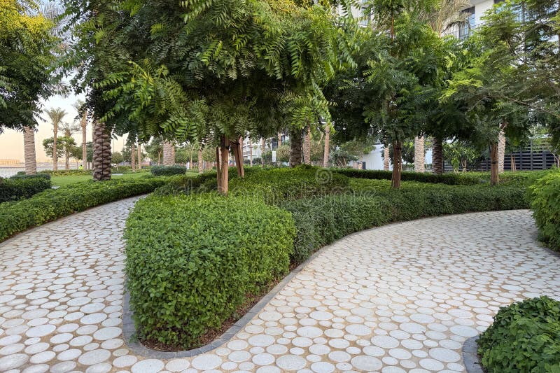 Scenic Park Pathway Surrounded by Lush Greenery and Trees, Serene ...