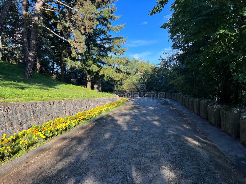 Scenic Park Trail on a Sunny Day with Trees Casting Shadow on the Path ...