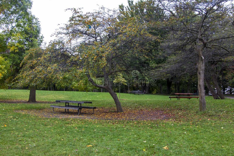 Scenic Park with Trees and Benches Offering Shade. Stock Photo - Image ...