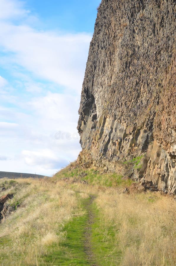 Scenic Path in a Park with Green Field and Trees in a City. Stock Photo ...