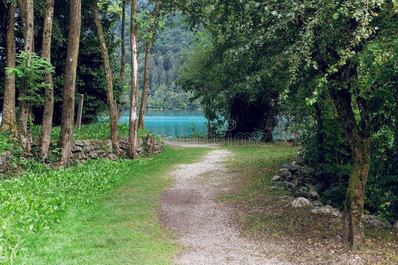 Scenic Path Along the Lake in Summer. Beauty Stock Photo - Image of ...