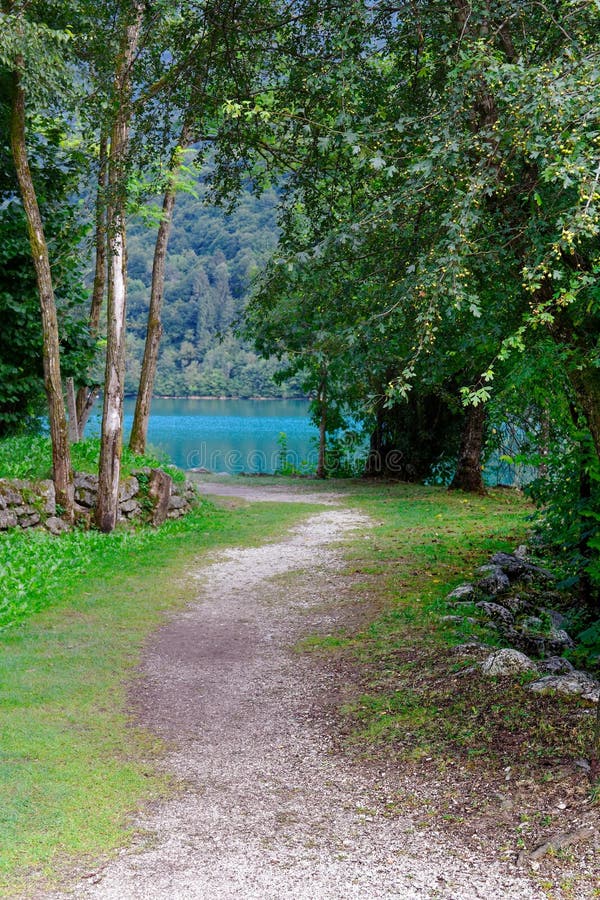Scenic Path Along the Lake in Summer. Beauty Stock Image - Image of ...