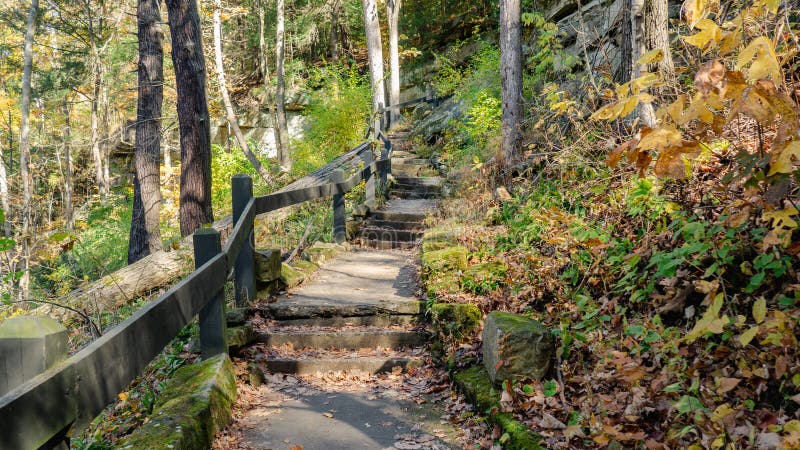 Scenic Path in Autumn Forest Stock Image - Image of forest, outdoors ...