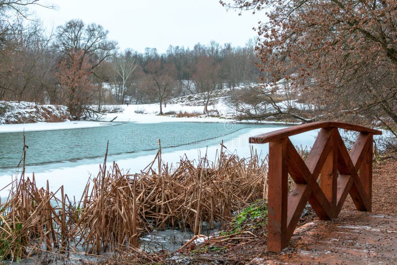 Path by the river stock photo. Image of small, trees - 170005456