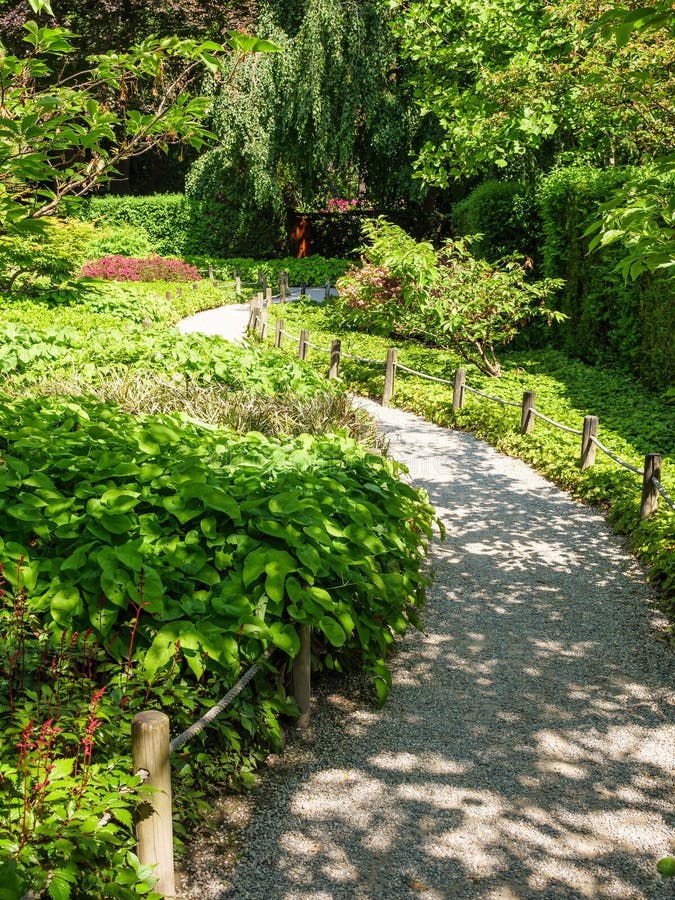 Scenic Pathway Leading through a Lush, Green Park with Multiple Trees ...