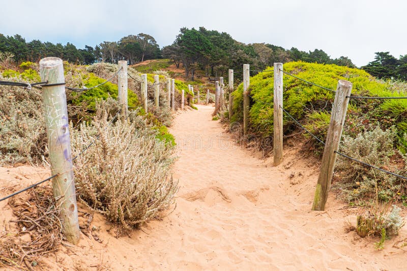 Scenic Pathway Leading through Sandy Dunes with Dense Greenery and ...