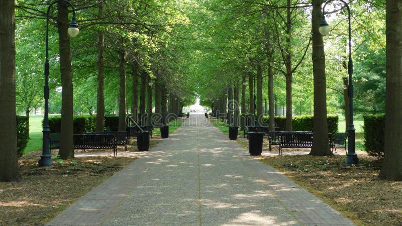 Scenic Pathway Lined with Trees and Benches in a Park. Stock Image ...