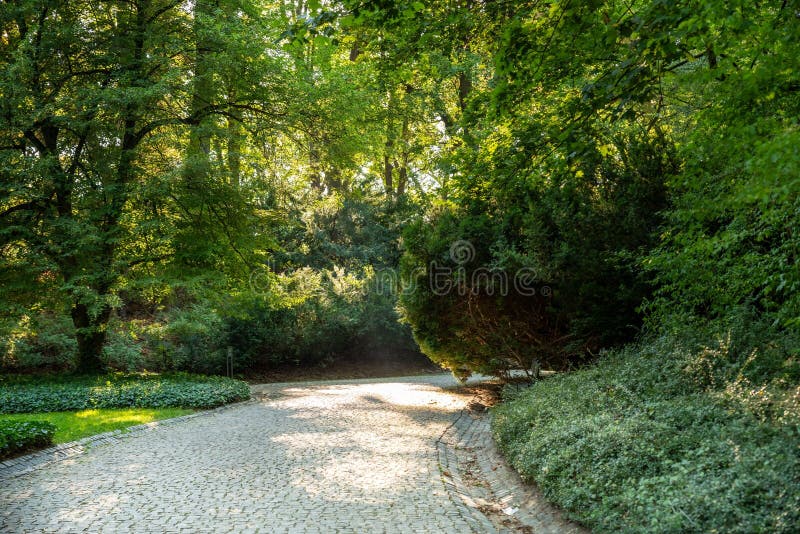 Scenic Pathway in a Park with Large Rocks on the Edges and Lush ...