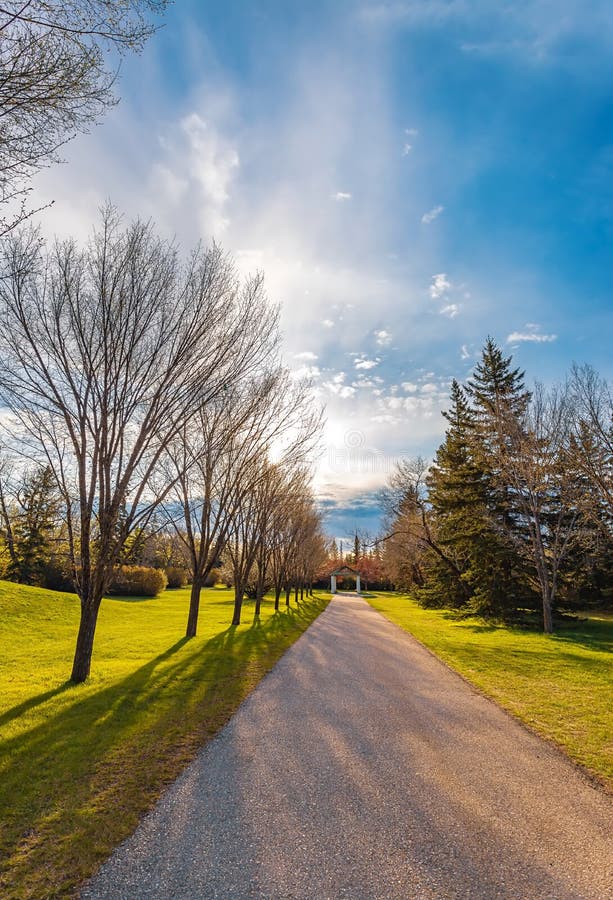 Sun Glowing Over a Park Pathway in Calgary Stock Photo - Image of trees ...