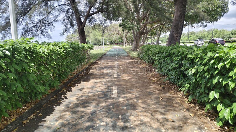 Scenic Pedestrian and Cycling Path Surrounded by Lush Greenery in Urban ...