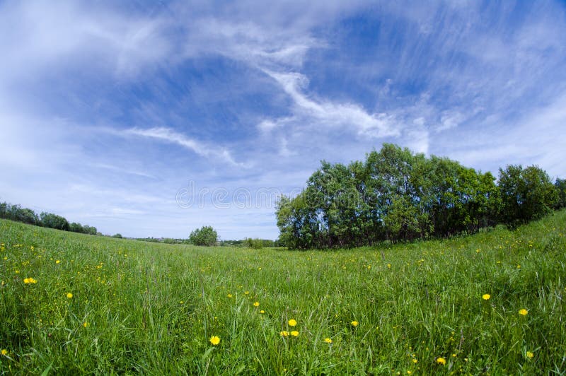 Scenic picture of a meadow stock photo. Image of empty - 16588764