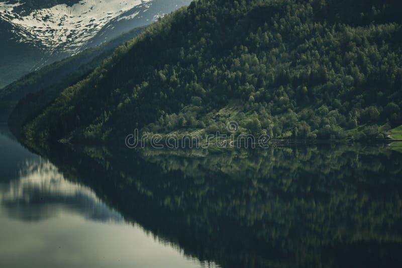 Scenic Picture of Sea and Forest in Norway Stock Image - Image of ...