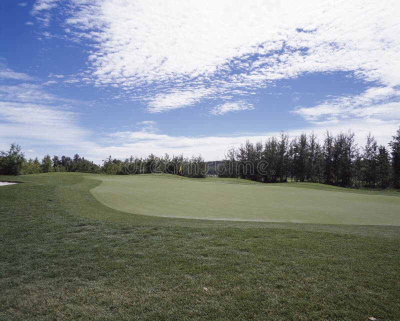 Scenic stock photo. Image of paddock, view, tree, plateau - 81597956
