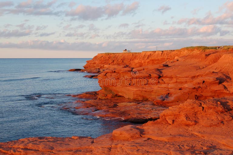 17,275 Edward Coristine Stock Photos - Free & Royalty-Free Stock Photos ...