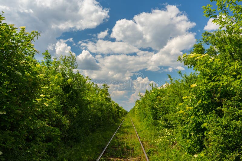 Scenic Railroad in Remote Rural Area Stock Photo - Image of europe ...