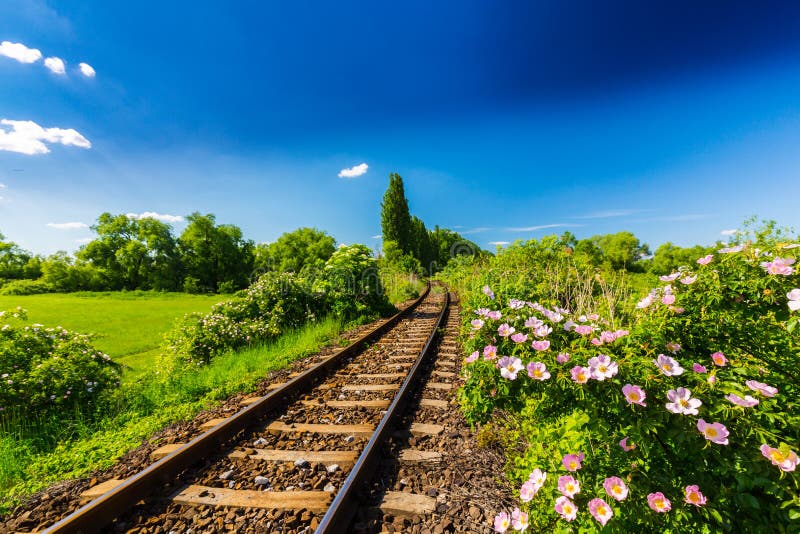 Scenic Railroad in Remote Rural Area Stock Image - Image of railroad ...