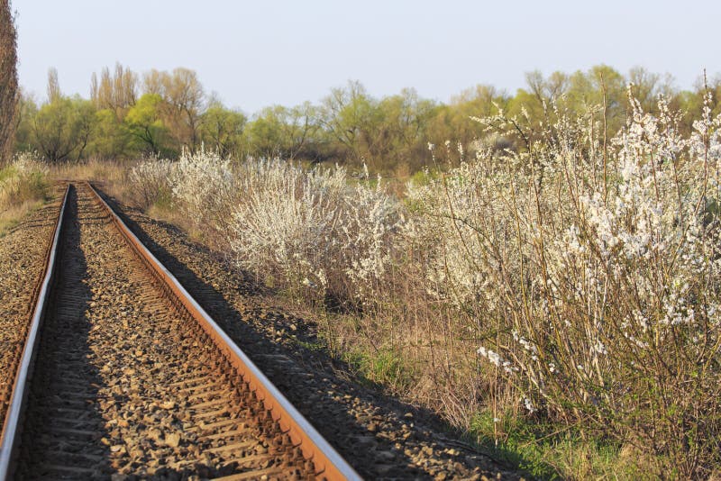Scenic railroad in spring stock image. Image of nostalgia - 39333091