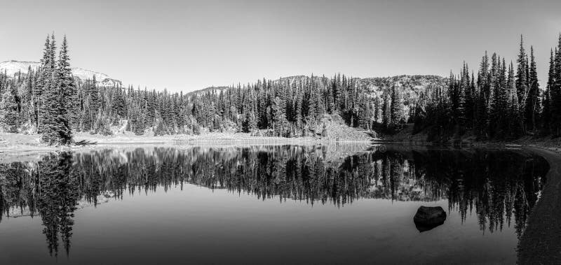 Scenic Reflection from Shadow Lake in Mount Rainier National Park Stock ...