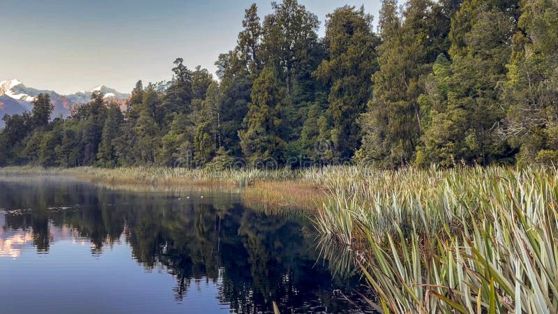 Scenic Reflective Lake Matheson on the West Coast of NZ Stock Photo ...