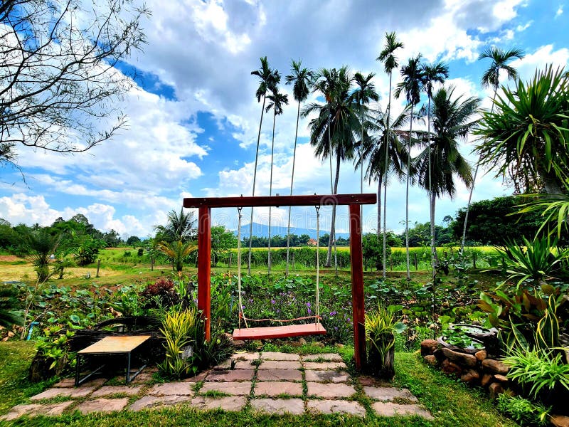 Scenic Rest Area in Tropical Thailand Stock Photo - Image of scenic ...