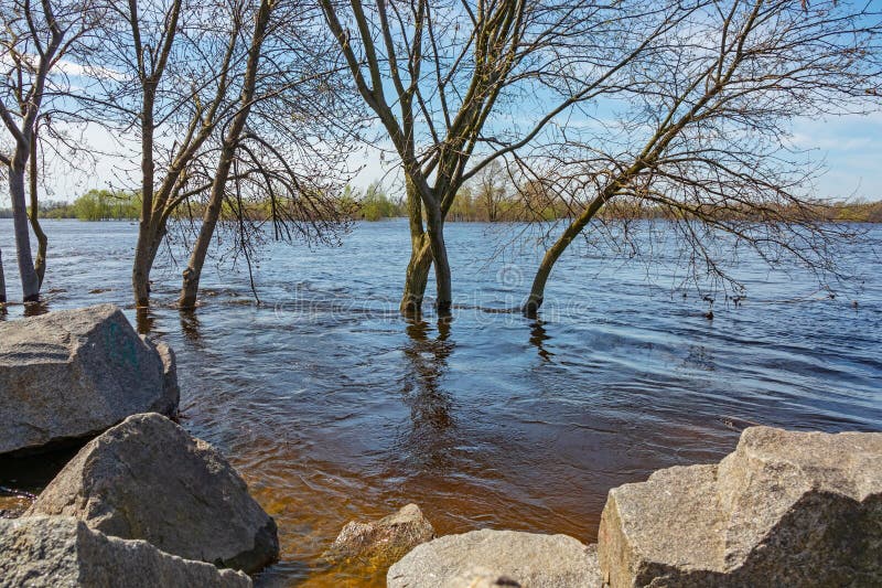 Scenic River Bank with Trees and Large Rocks during Spring Flood on a ...