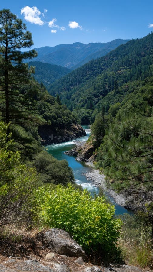 Scenic River Flows through a Rugged Valley Surrounded by Evergreen Forests Under a Bright Blue ...