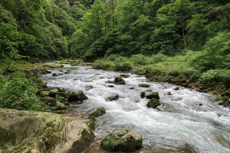 Scenic River with Multiple Large Rocks, Surrounded by Lush Green Trees ...