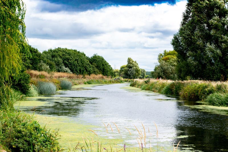 Scenic of a River Surrounded by Vegetation Stock Image - Image of ...